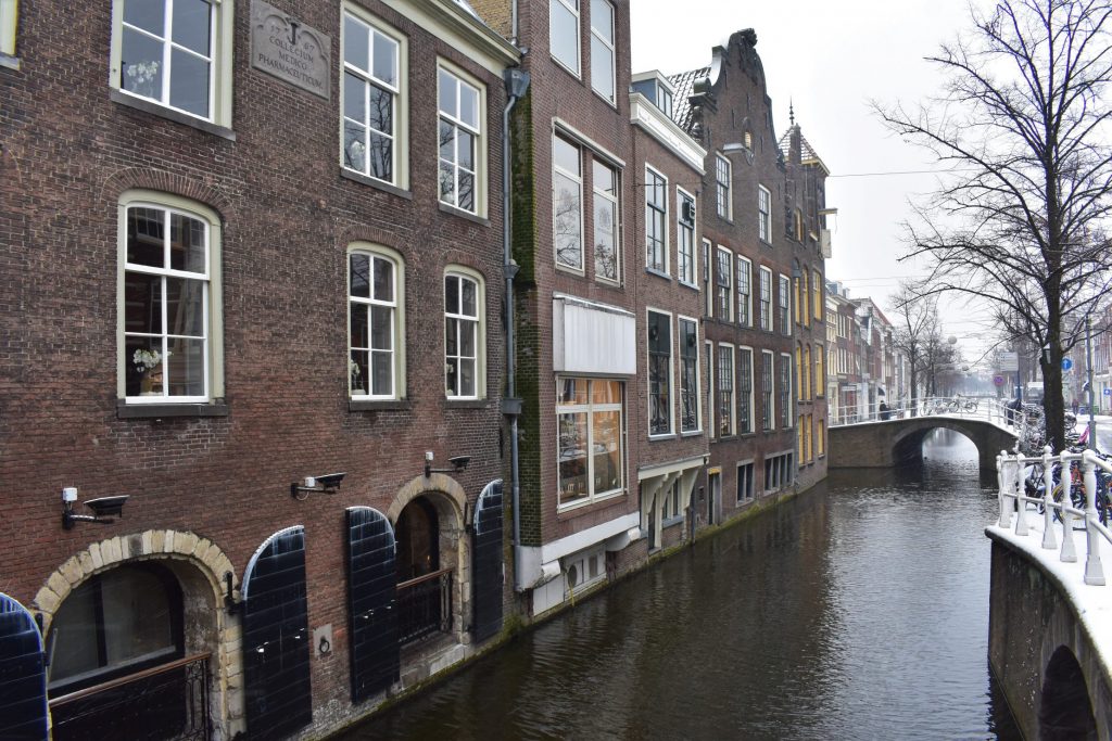 Why Visit Delft in Winter
