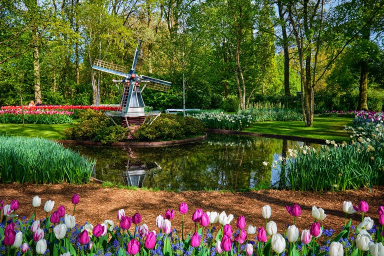 22 Beautiful Photos That Will Make You Fall In Love With The Netherlands